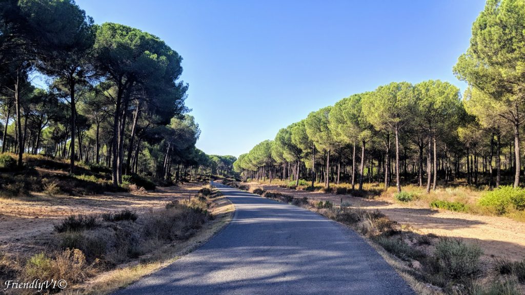 Road cycling routes starting in Seville, Spain - Thyme consuming